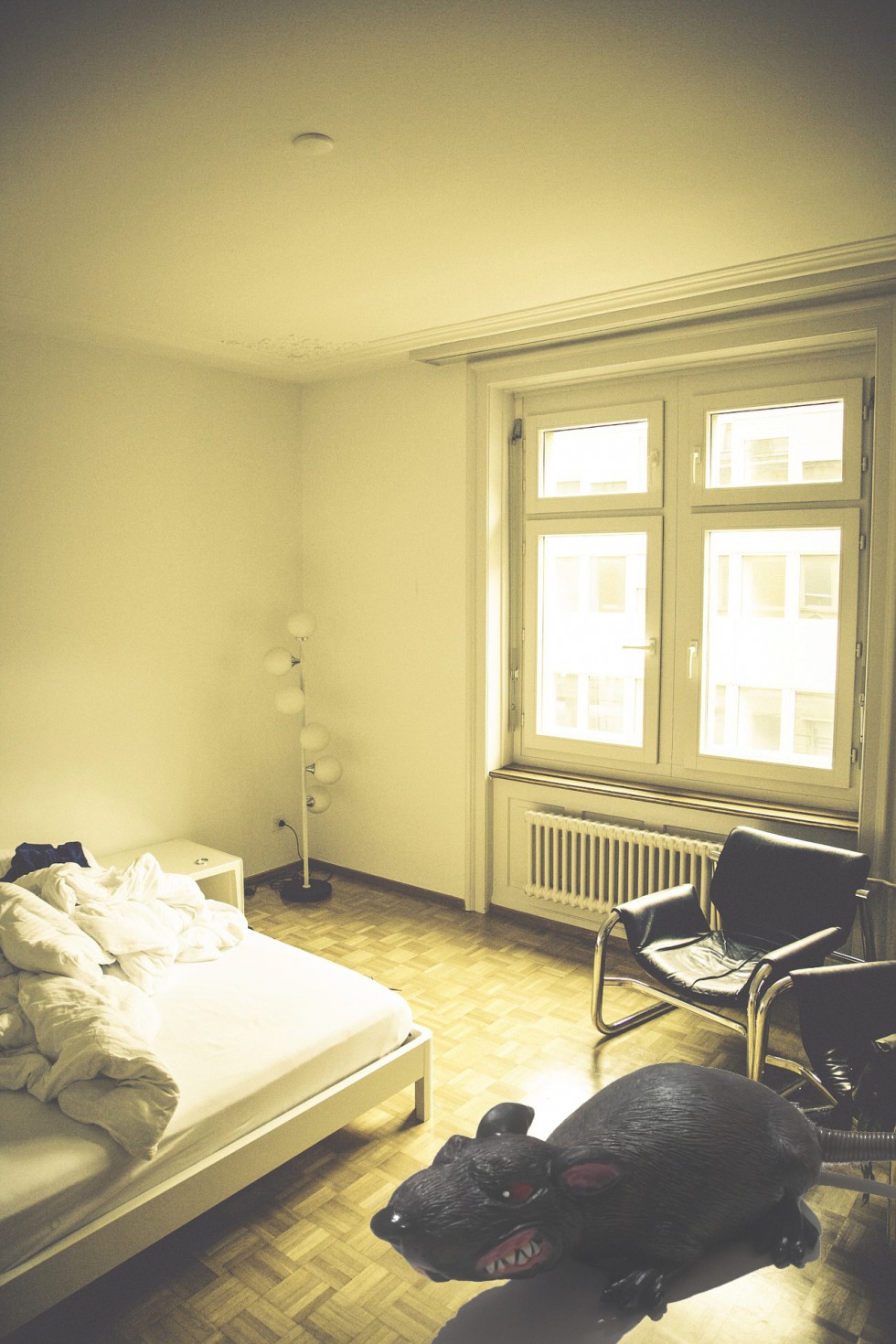 rat in hotel room - Real Life Language