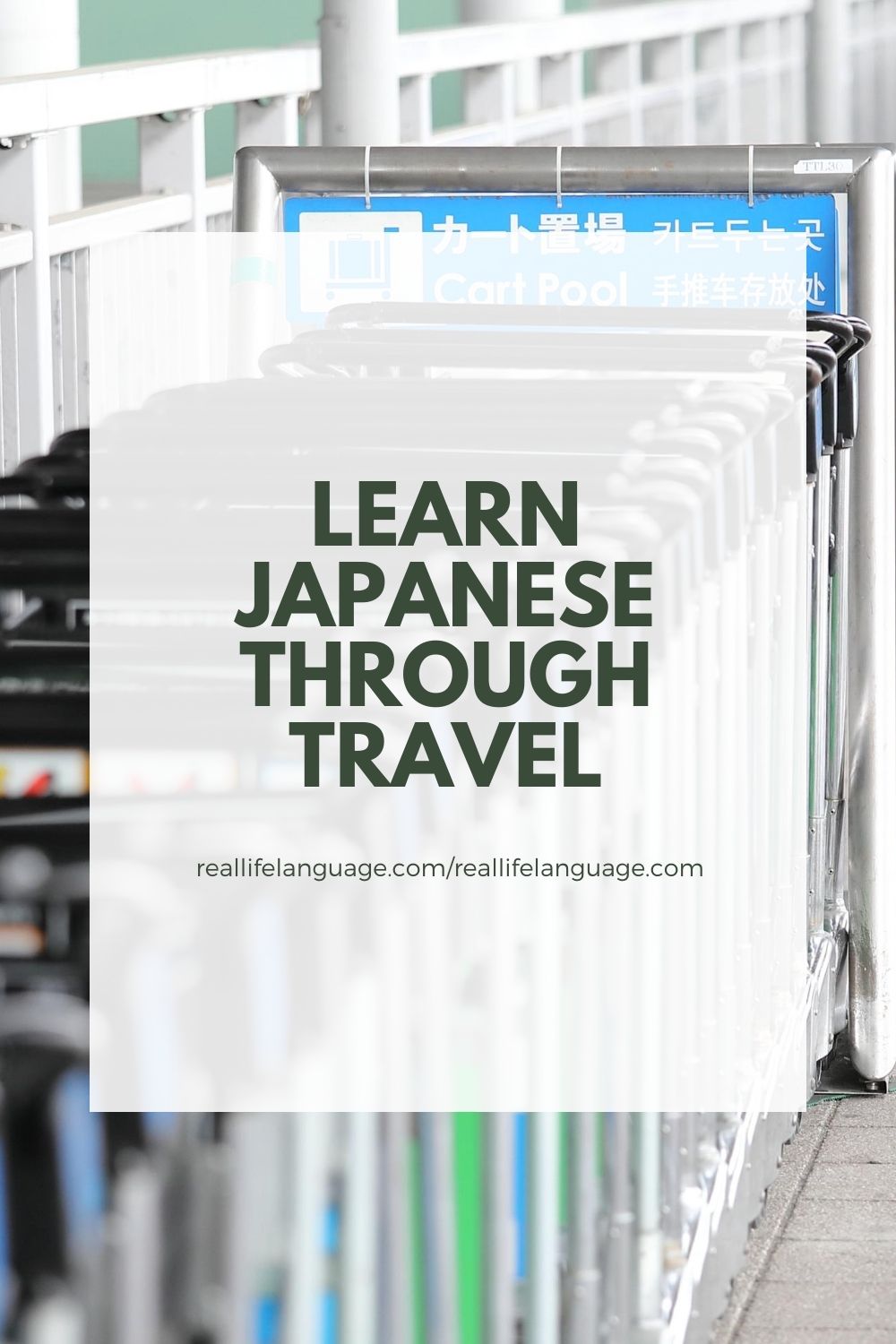 Learn Japanese through Travel - Real Life Language