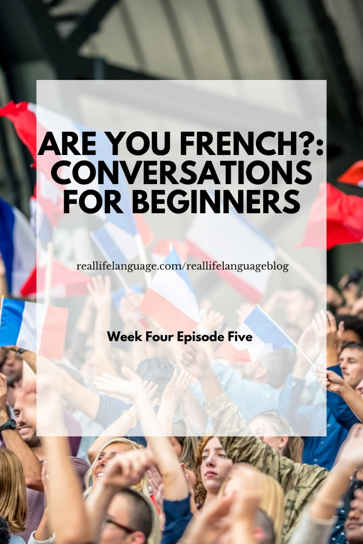 Are you French?: Conversations for Beginners - Real Life Language