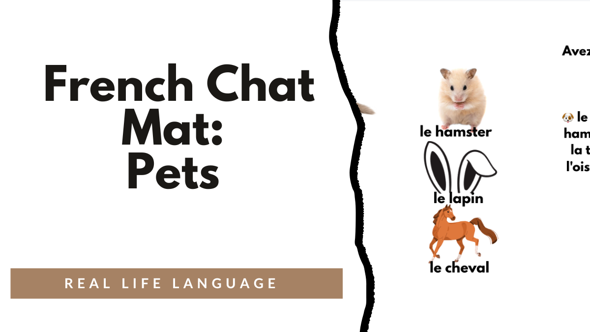 French Chat Mat: Pets - Real Life Language